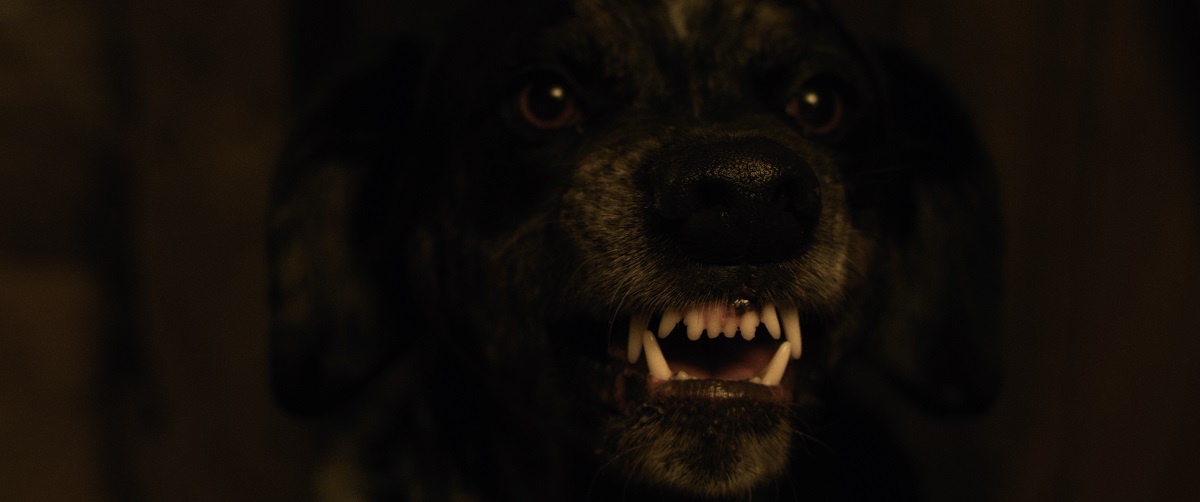 Sator (2019) – Dave's film blog